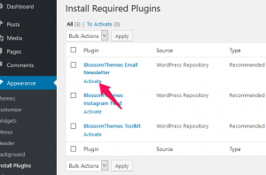 Recommended Plugins - BlossomThemes