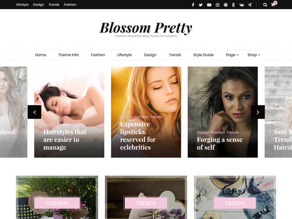 Blossom Pretty - BlossomThemes
