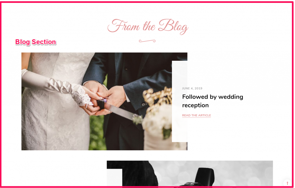 How to Configure Blog Section? - BlossomThemes