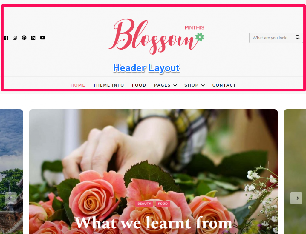 How to Change Header Layout? – BlossomThemes
