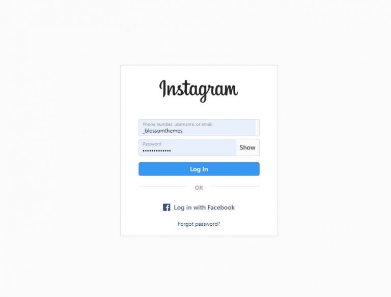 How to Setup Instagram on your website? - BlossomThemes