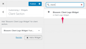 How to Configure Client Section? - BlossomThemes
