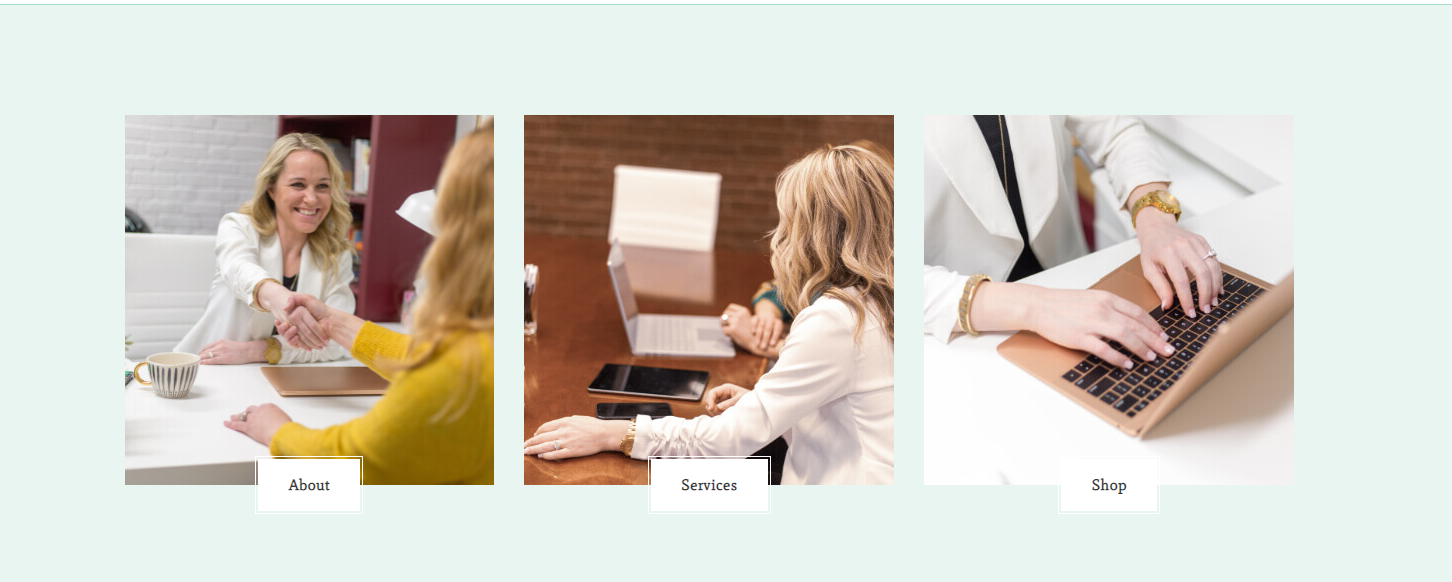 How to Configure Promotional Section? - BlossomThemes