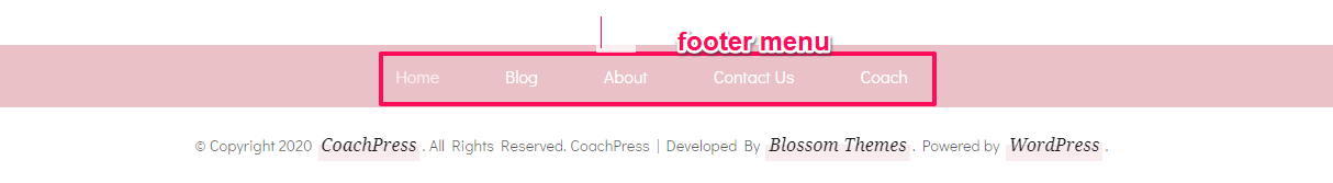 How to Create and Edit Navigation Menu? - BlossomThemes