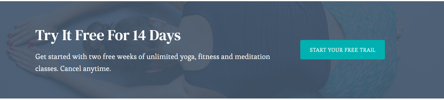 How to Configure Full CTA Section? - BlossomThemes