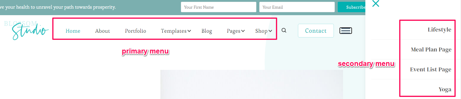 How to Create and Edit Navigation Menu? - BlossomThemes