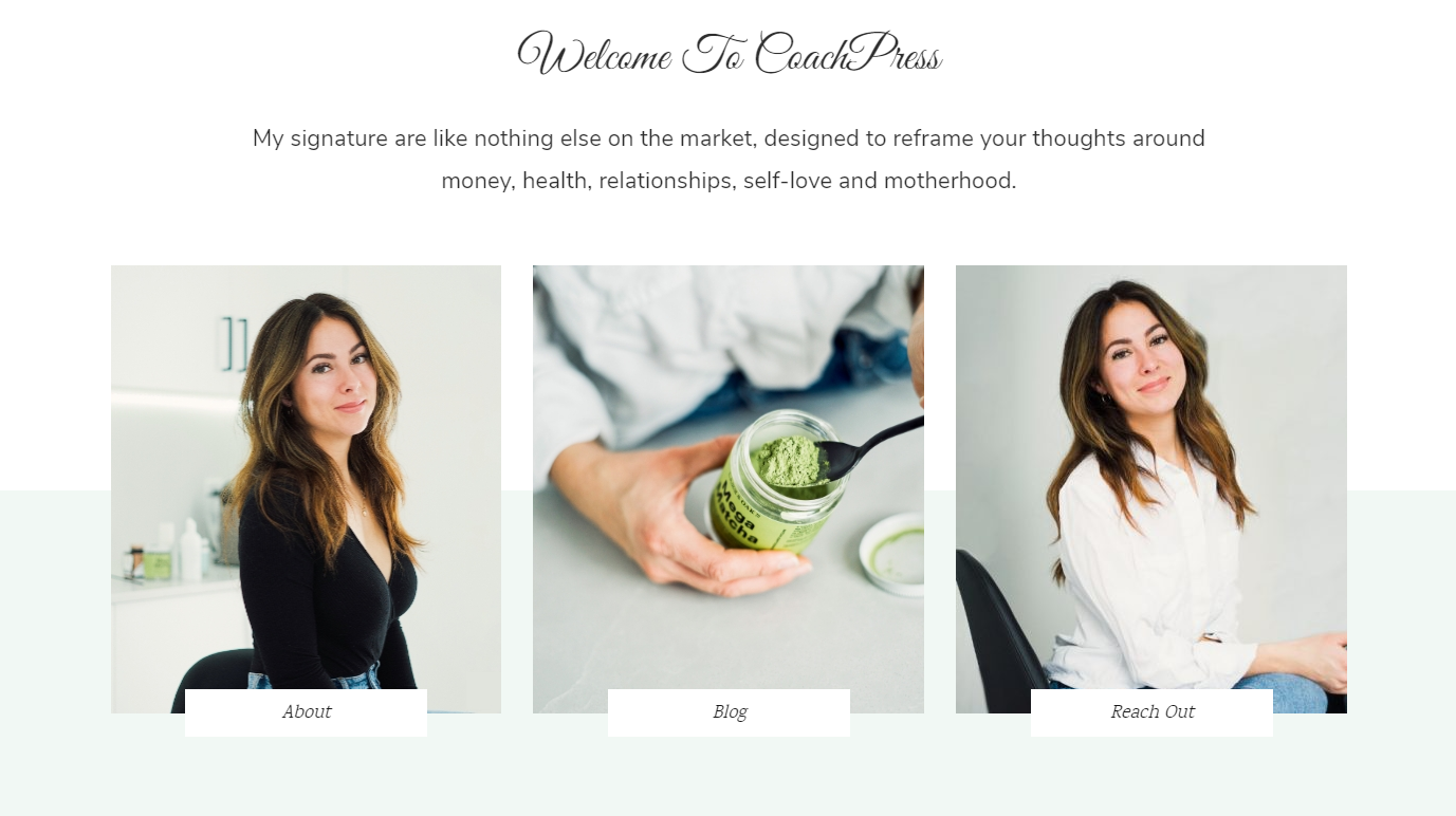 How to Configure Promotional Section? - BlossomThemes