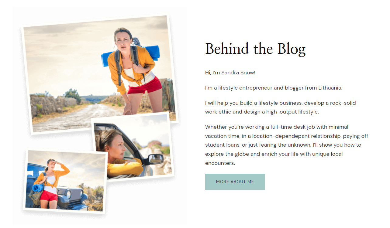 How to Configure About Section? - BlossomThemes
