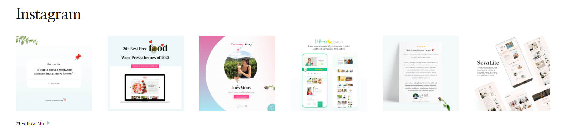 How to Set up Instagram Section on the Homepage? - BlossomThemes
