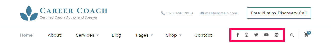 How to Add Social Media Icons in Header? - BlossomThemes