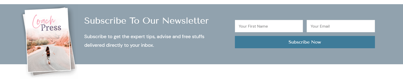 How to Configure the Newsletter Section? - BlossomThemes