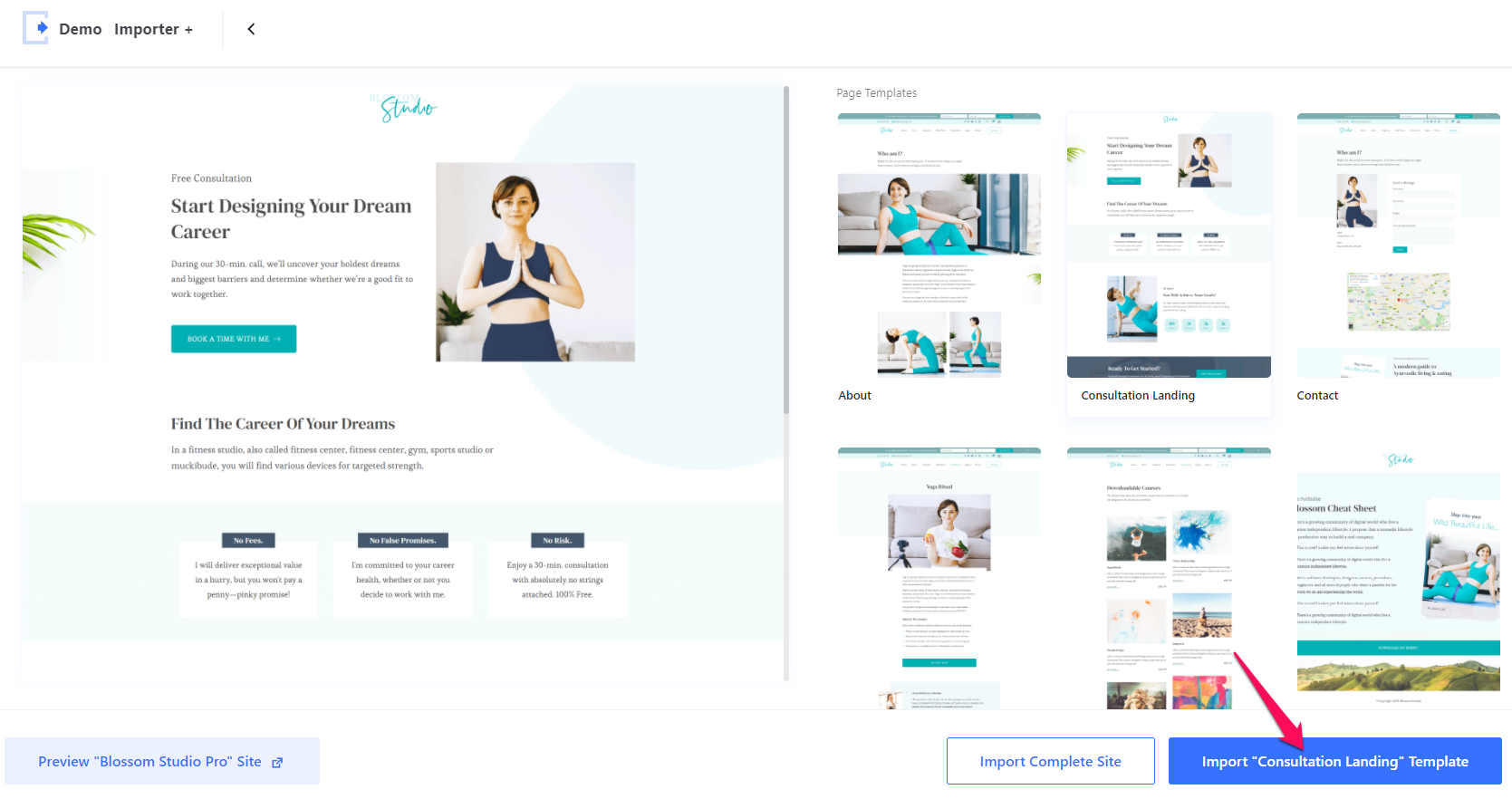 Import Elementor Templates - BlossomThemes