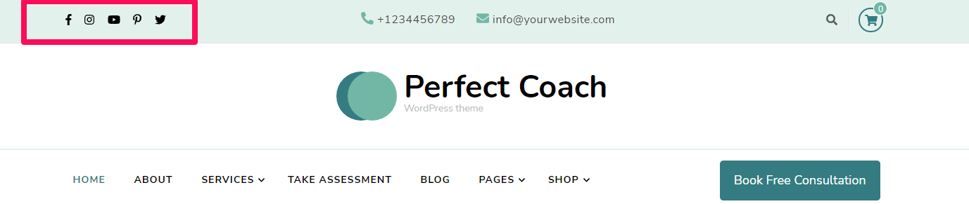 How to Add Social Media Icons in Header? - BlossomThemes