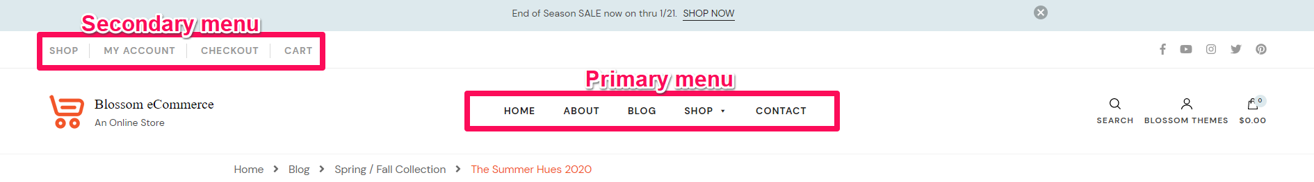 How to Create and Edit the Navigation Menu? - BlossomThemes