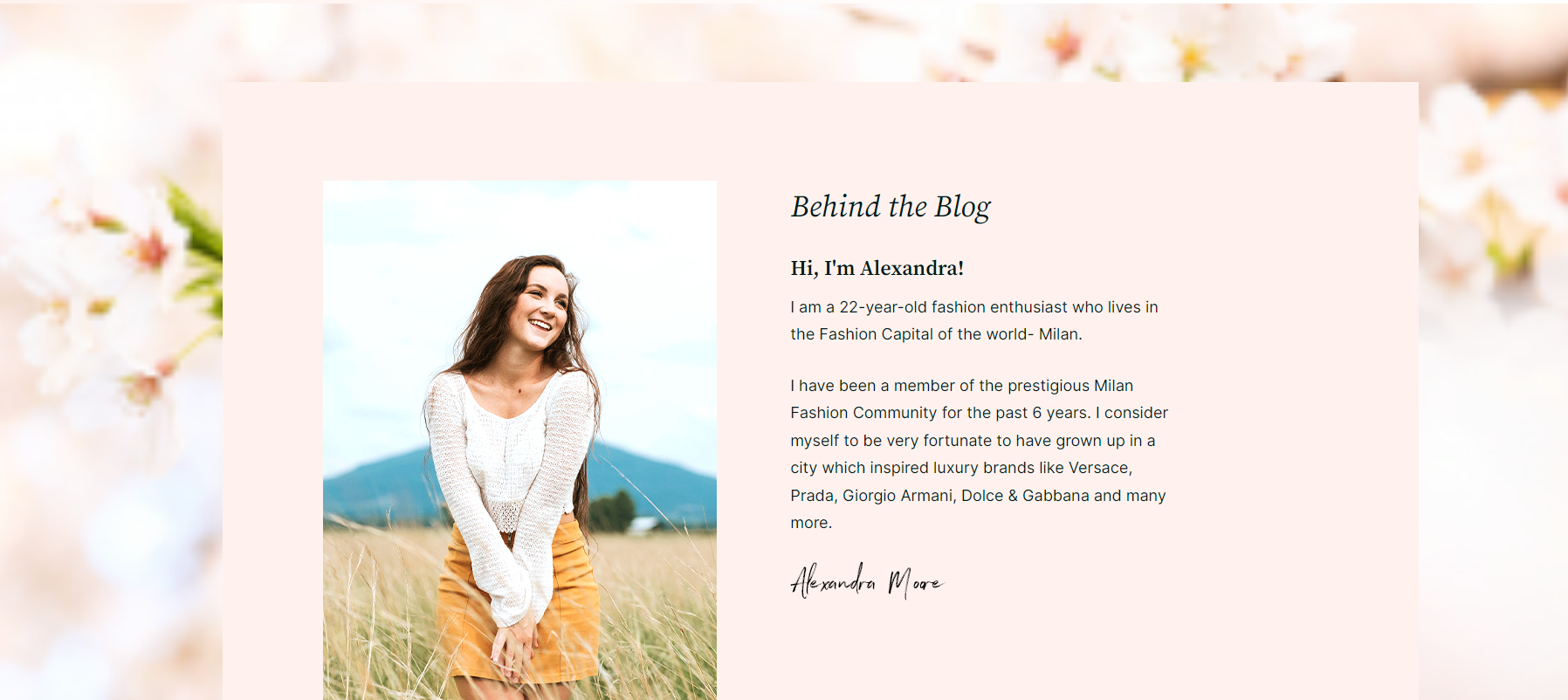 How to Configure About Section? – BlossomThemes