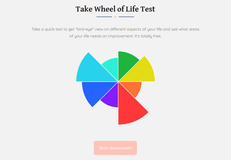 How to Configure Wheel of Life Section? - BlossomThemes