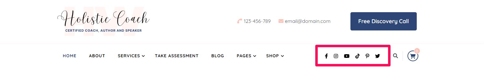 How to Add Social Media Icons in Header? - BlossomThemes