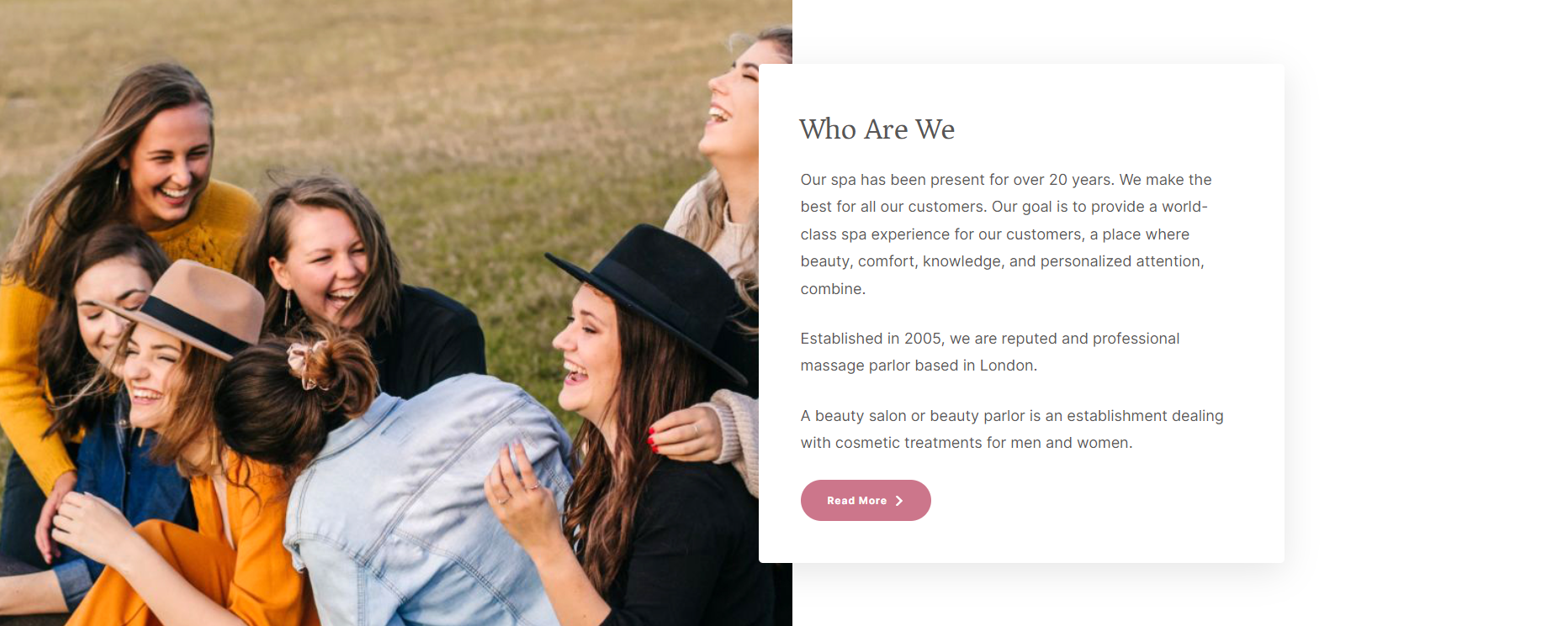 How to Configure About Section? - BlossomThemes