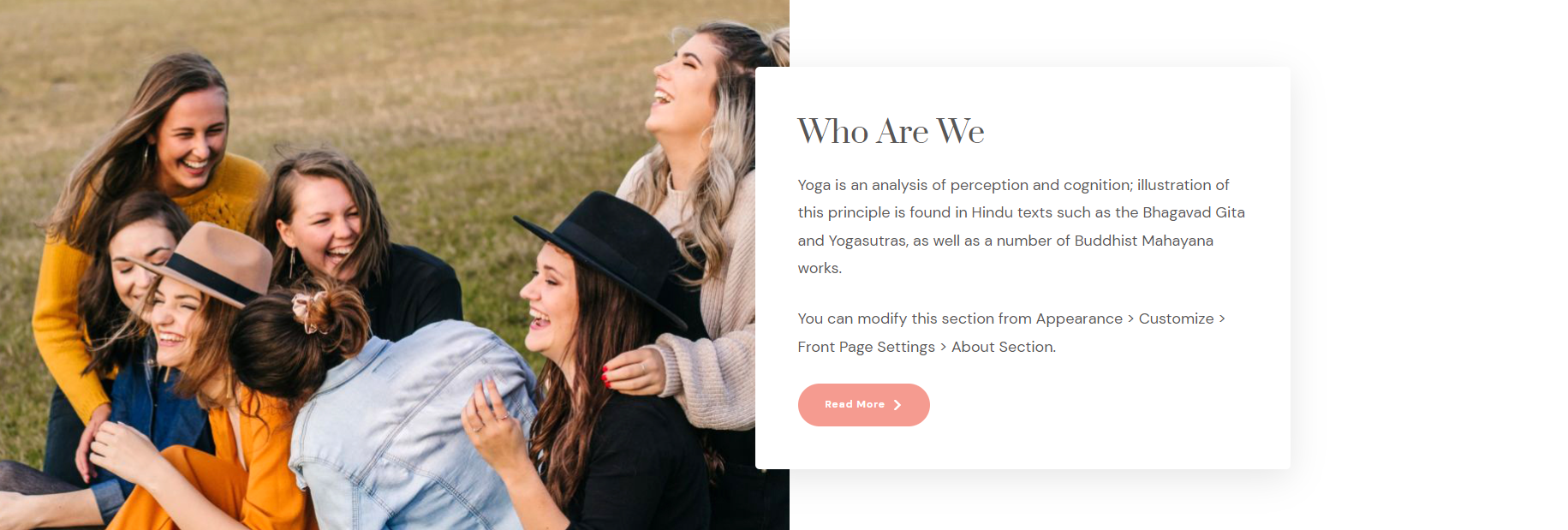 How to Configure About Section? - BlossomThemes