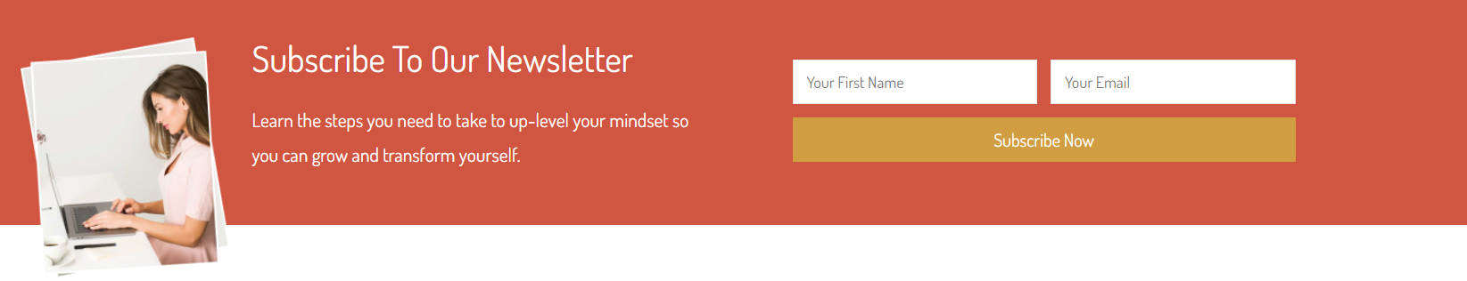 How to Configure the Newsletter Section? - BlossomThemes