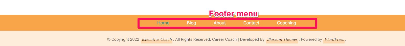 How to Create and Edit Navigation Menu? - BlossomThemes