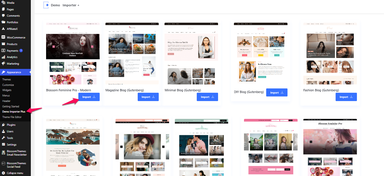How to Import Demo Content? - BlossomThemes