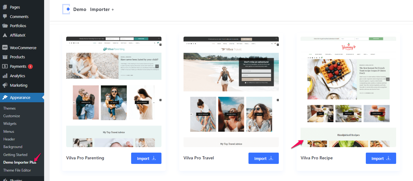 How to Import Demo Content? - BlossomThemes